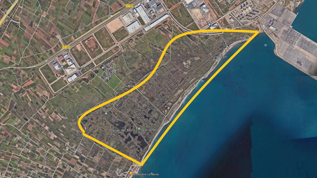 ️ ️Marjal del Moro y Grau Vell, información y guía completas ...